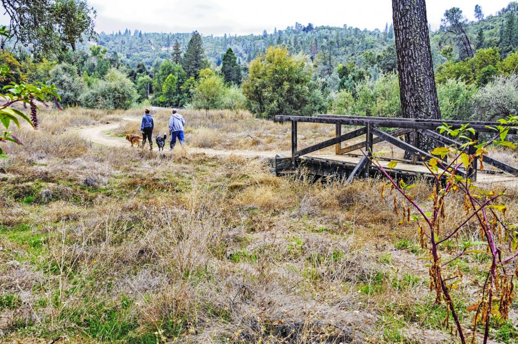 Trail Alignment Tool for Better Pathways | Dudek Blog