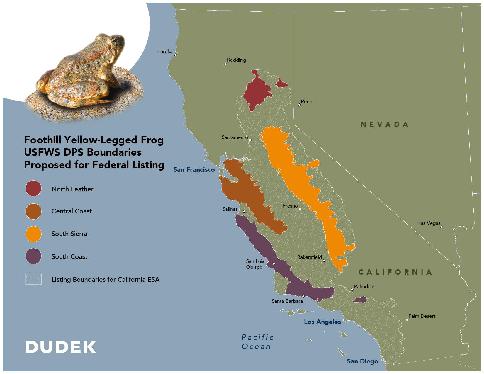 Foothill Yellow-Legged Frog Listing Status | Dudek Blog