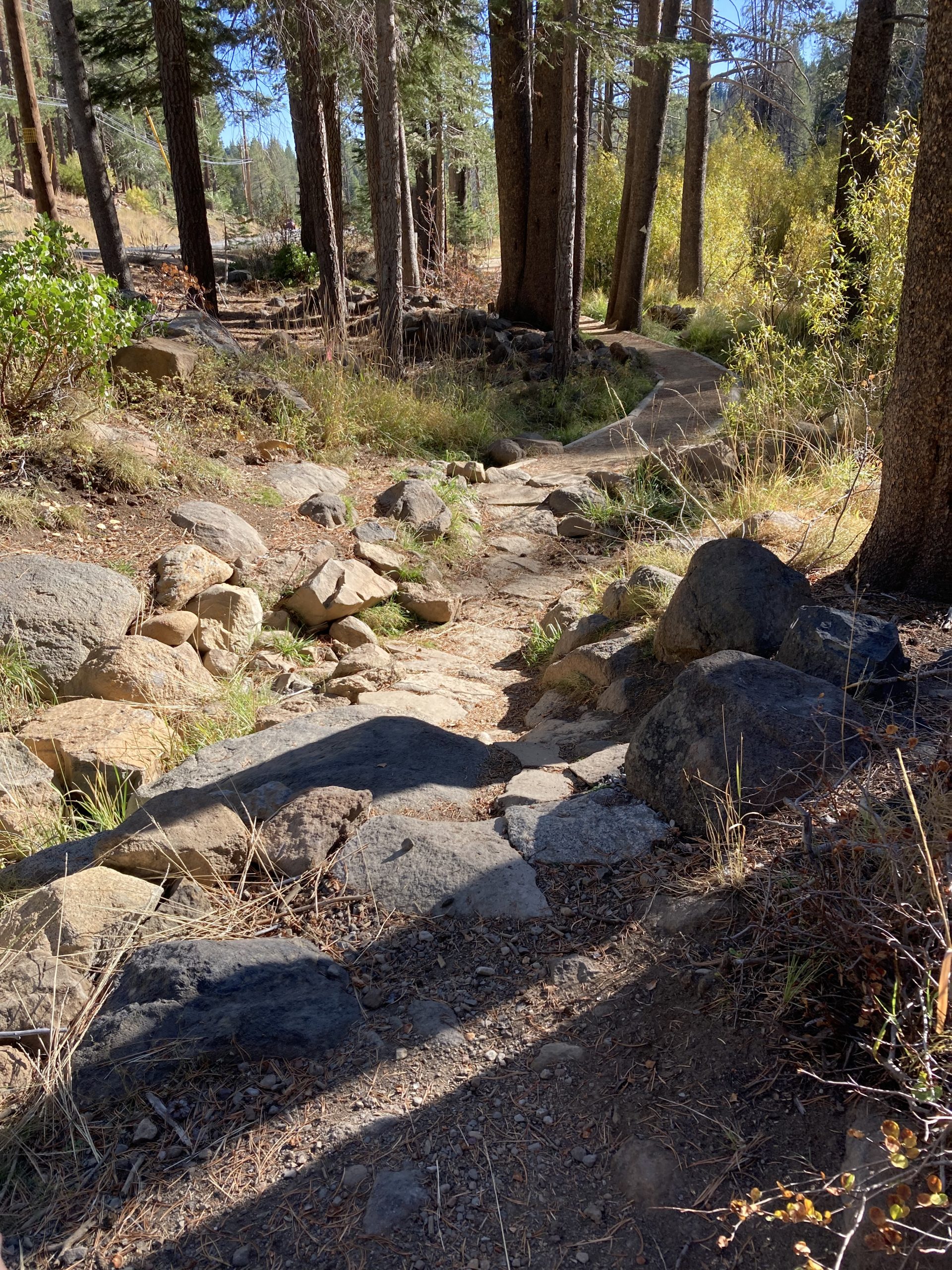 How to Design Trails that Connect People with Nature | Dudek Blog